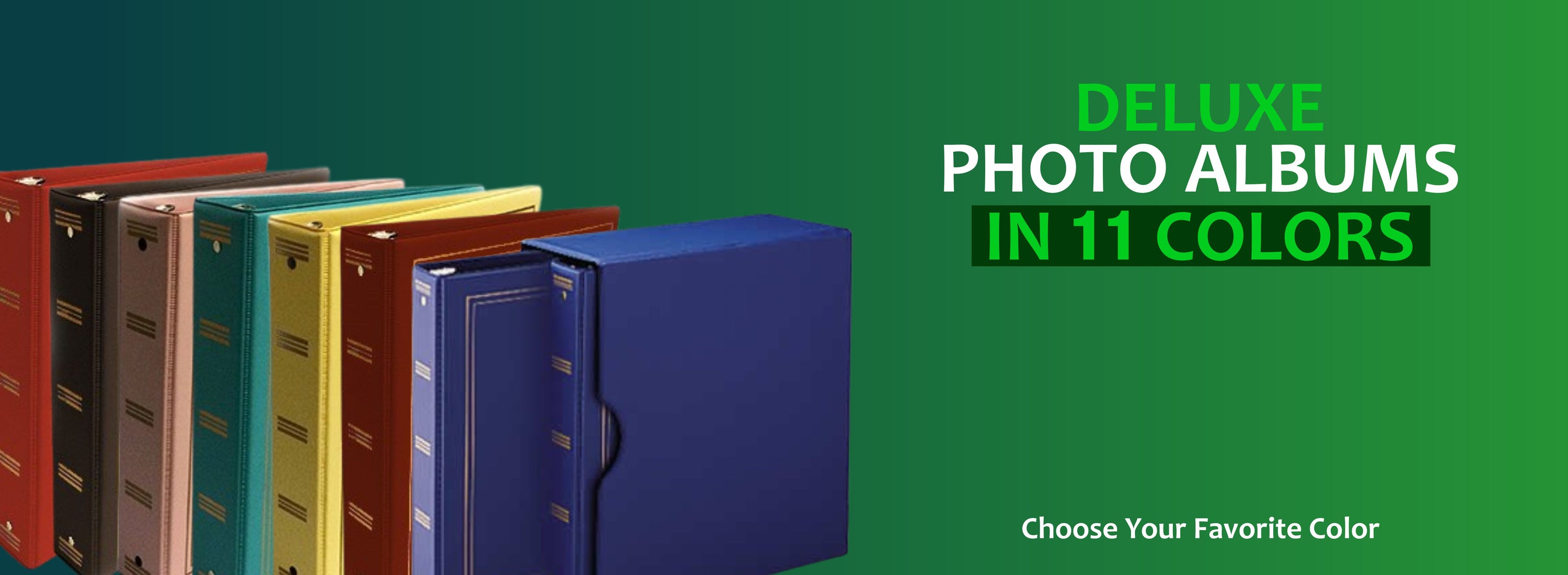 Century Photo: Organize and Protect Your Memories – CenturyPhoto